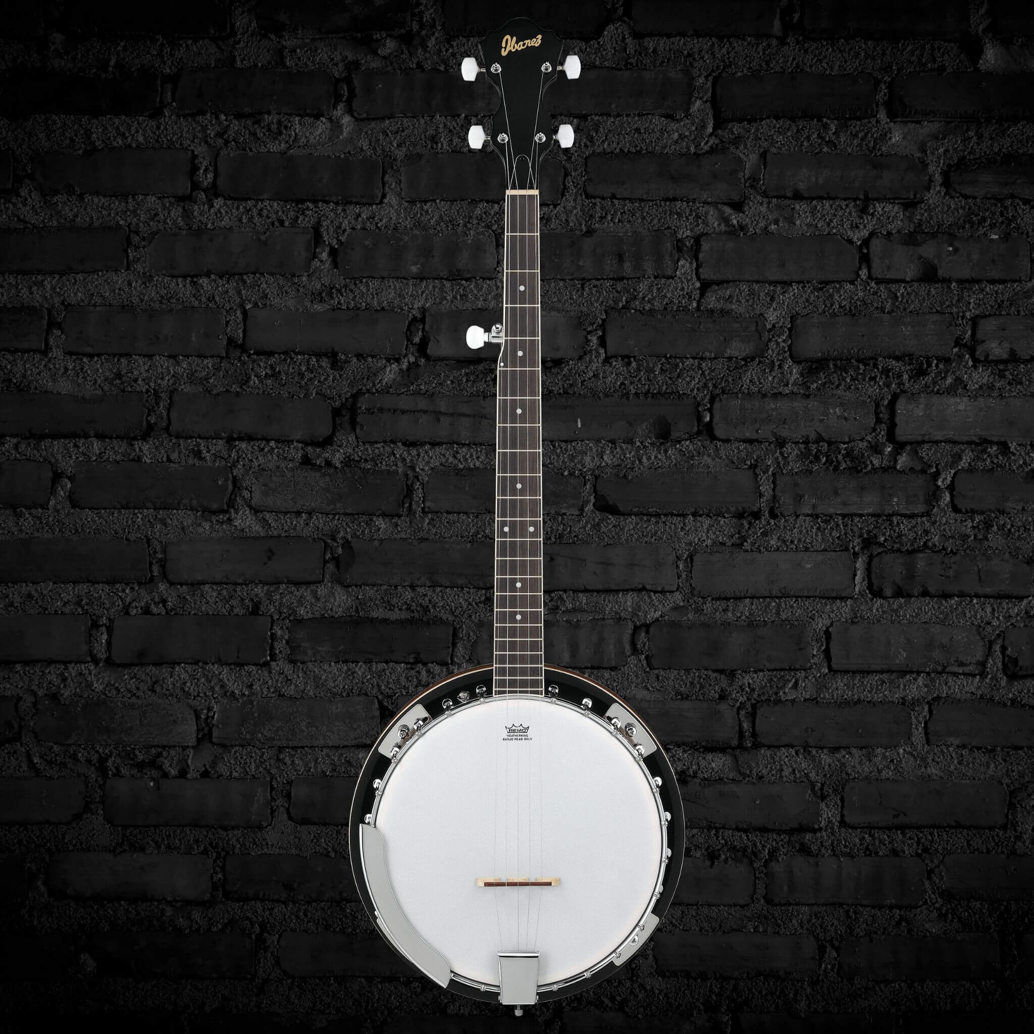 Ibanez B50 5-string Resonator Banjo- Natural Gloss - Hubbard Music